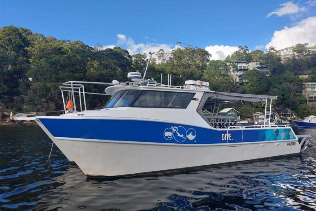 Whitsunday Dive Adventures | Tours And Courses